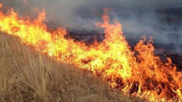 蒙古国东方省发生草原火灾 过火面积达3500公顷 - TNAOT