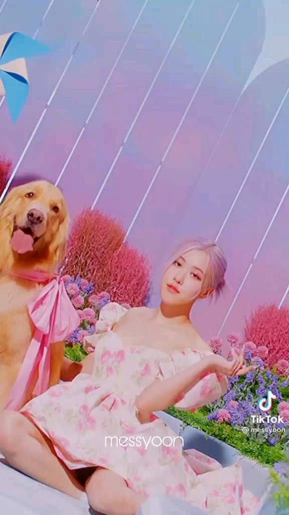 blackpink🥰Rosé🥰 - TNAOT