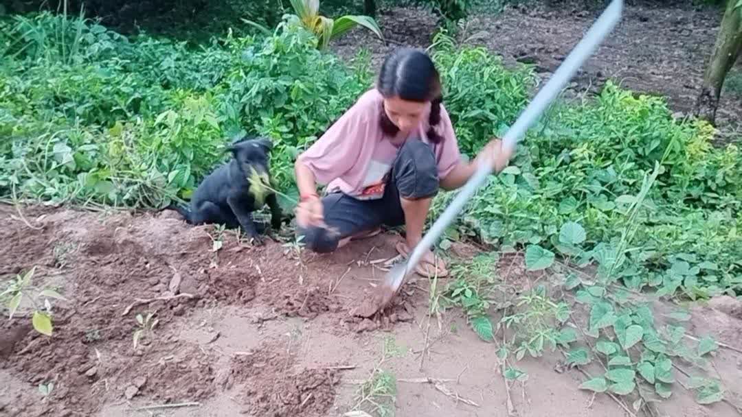 ដាំម្ទេស🌶️🌶️🌶️ - TNAOT