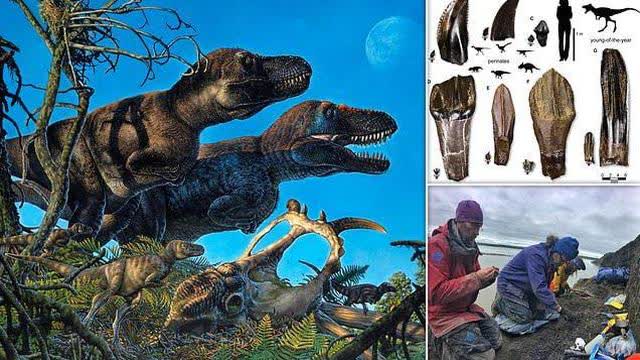 អ្នកវិទ្យាសាស្ត្ររកឃើញ ភស្តុតាងដំបូងបង្ហាញពីសត្វ ៧ប្រភេទ ...