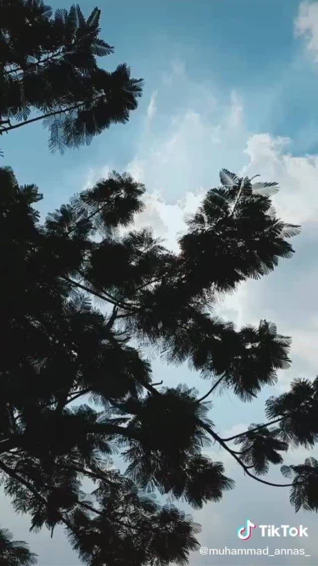 good morning bat😀😊😊 - TNAOT