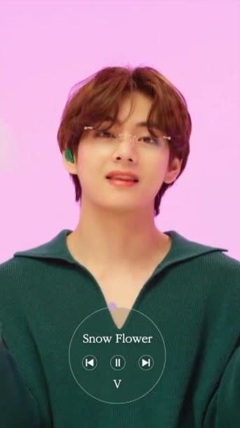Snow Flower #V🐯 #BTS - TNAOT
