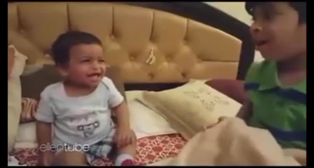 They look so happy - TNAOT