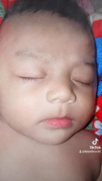 ក្មុយមីង - TNAOT