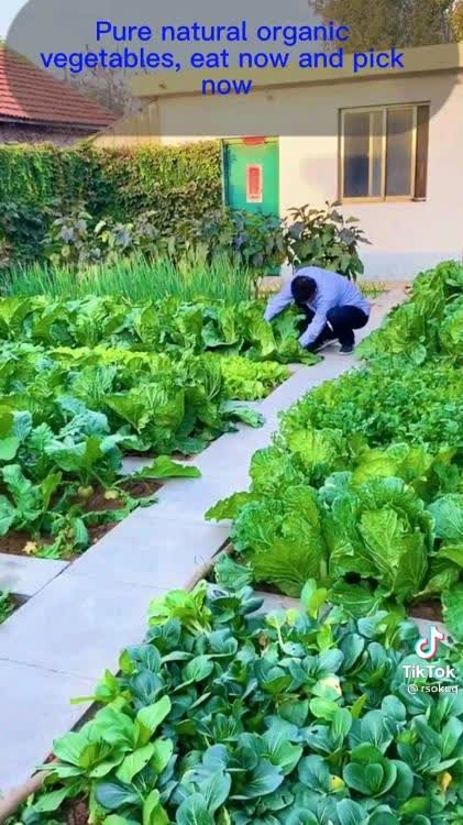 Great farming.. - TNAOT