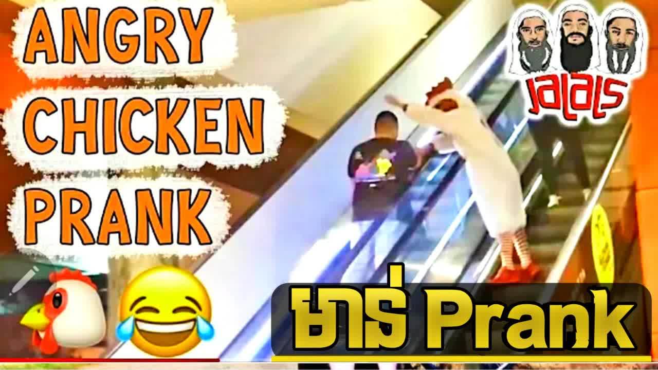 ហាស់ហា! តោះមកមើលមាន់ Prank ម្តងមើល😅🐓📱 - TNAOT