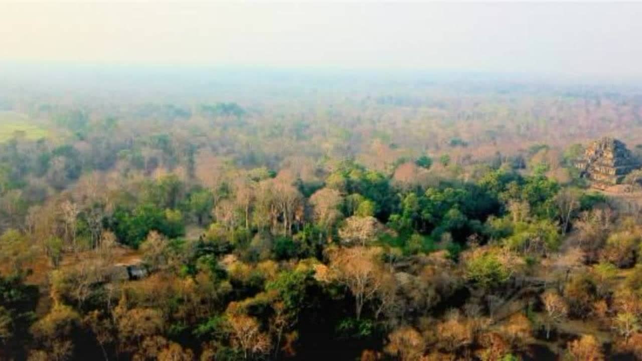 CMAC បន្តដោះមីនក្នុងតំបន់ប្រាសាទព្រះវិហារ និងកោះកេរ ខណៈតំបន់នេះ ...