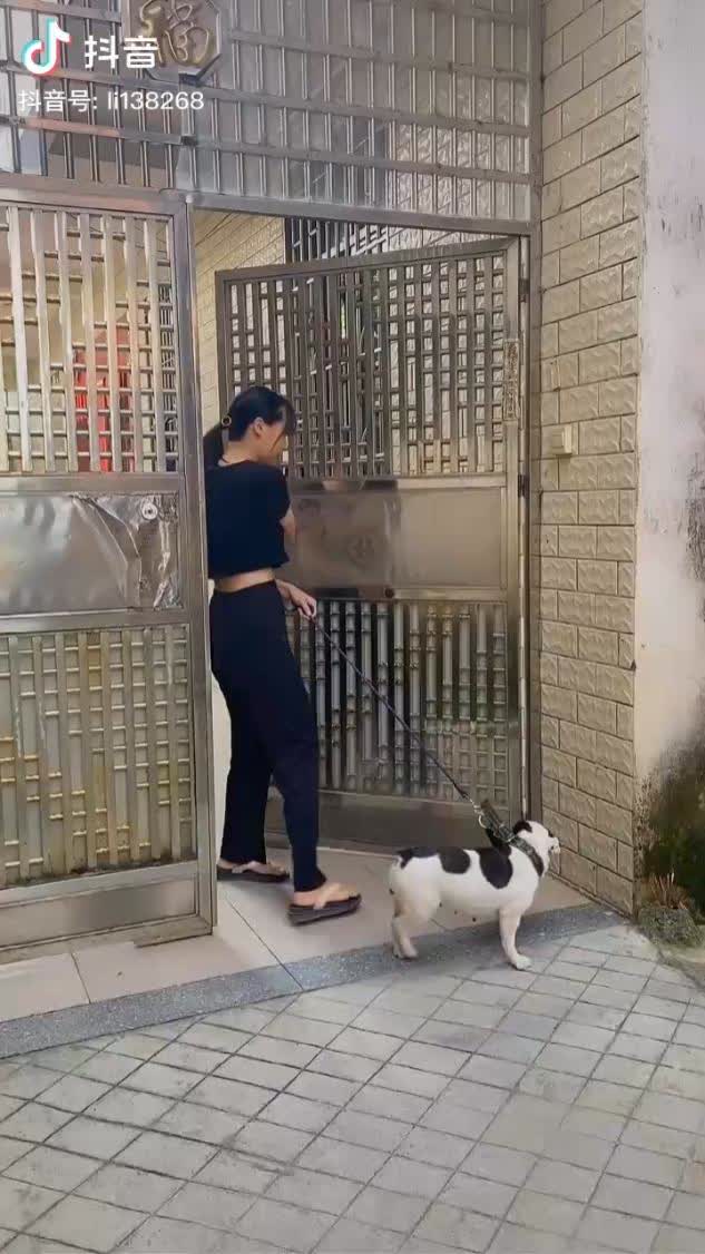 Video Funny Tik te som Chuy like oy Pong na - TNAOT