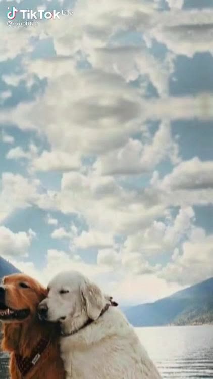 so sweet 💗 - TNAOT