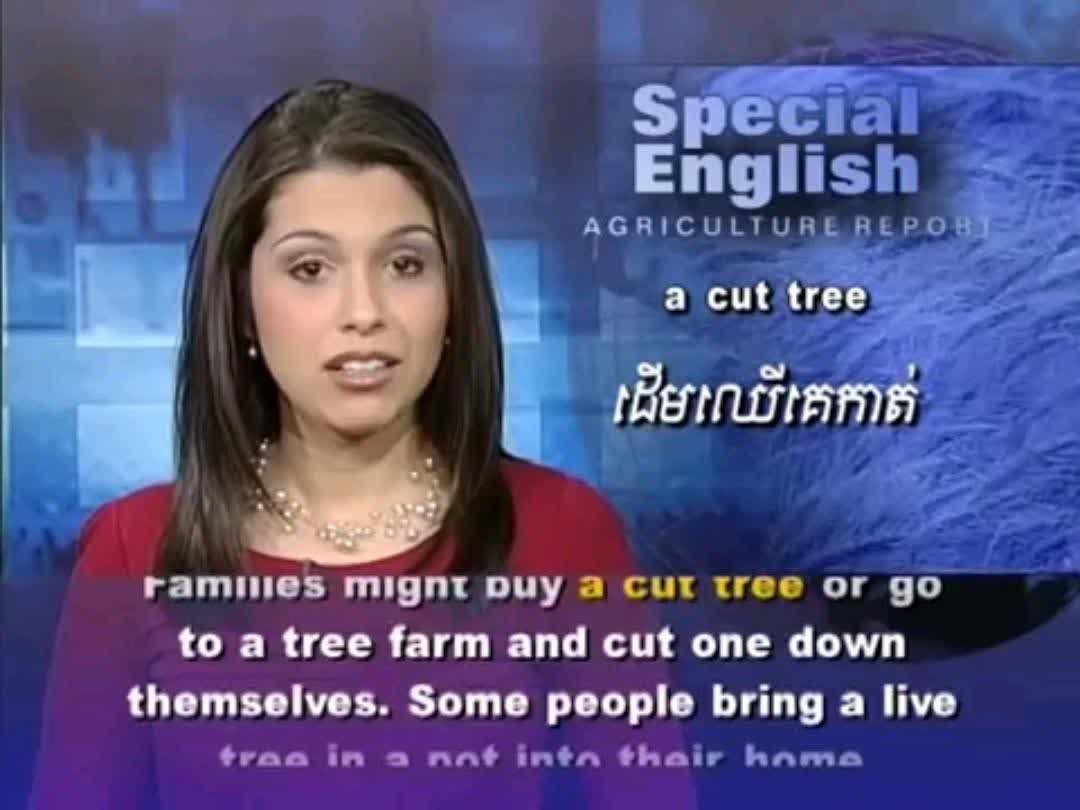 Special English #34 - TNAOT