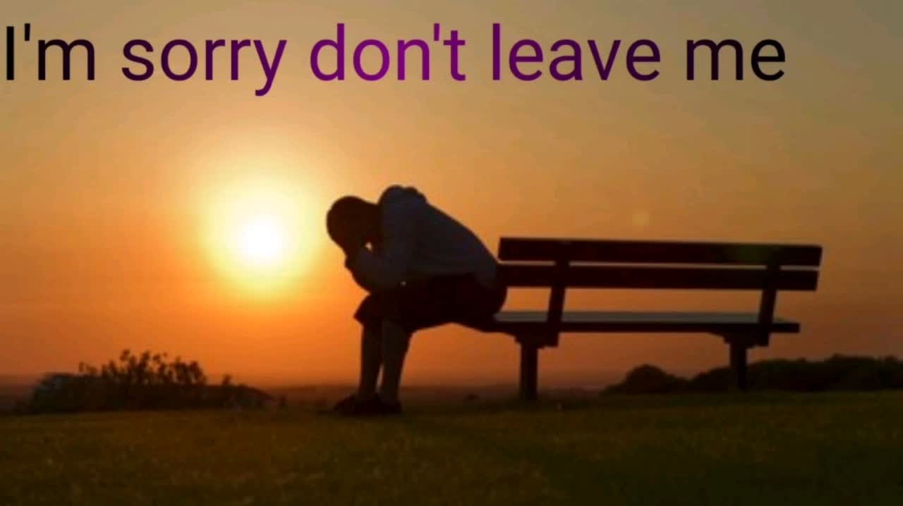 I'm sorry don't leave me - TNAOT