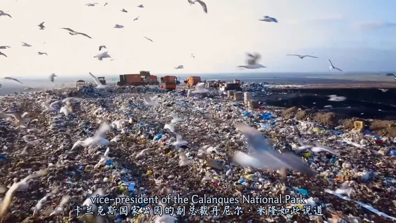 31.Sea of plastic: Med pollution under spotlight at conservation meet - TNAOT