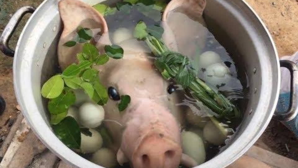 អាំង ក្បាលជ្រូក ញាំជាមួយ ពួកម៉ាក់ ARS Primitive Cooking Pig Roast Barbecue - grilled pig eating ...