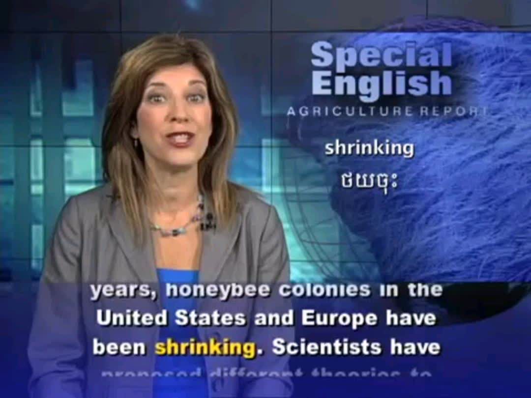 Special English #71 - TNAOT